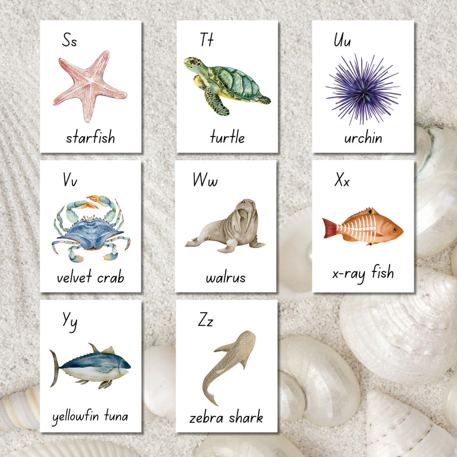 Ocean Bundle Preschool Nature Bundle Ocean Flash Cards Alphabet Flash ...