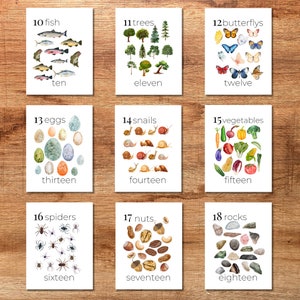 Nature Number Cards 1-20 Classroom Math Counting Cards Nursery Wall Art ...