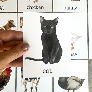 Farm Animal Recognition Cards Farming Prints for Prek and Kindergarten ...