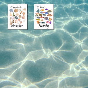 Ocean Number Cards 1-20 Classroom Math Counting Cards Nursery Wall Art ...