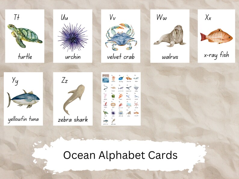 Ocean Bundle / Preschool Nature Bundle / Ocean Flash Cards / - Etsy