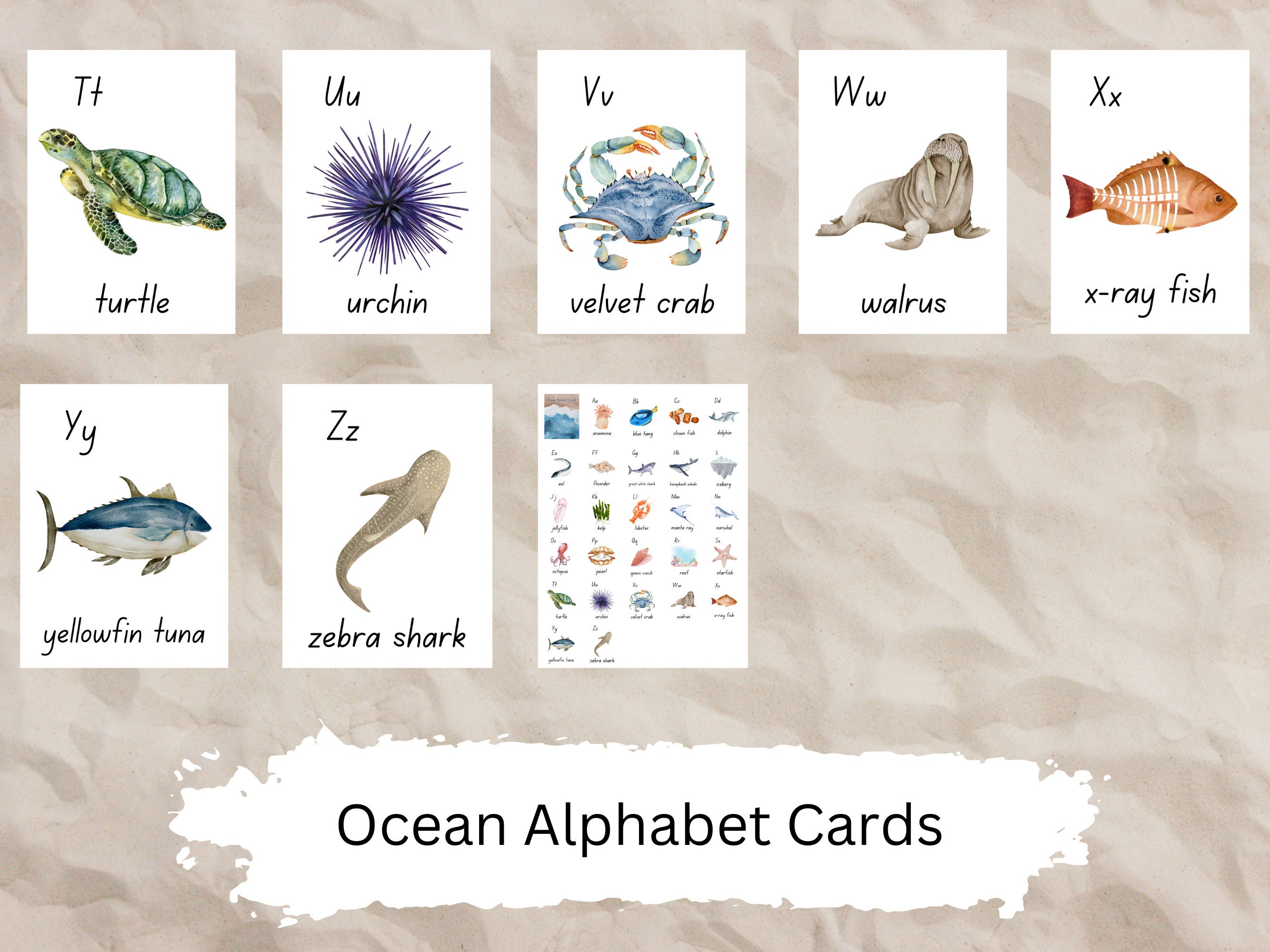 Ocean Bundle / Preschool Nature Bundle / Ocean Flash Cards / - Etsy