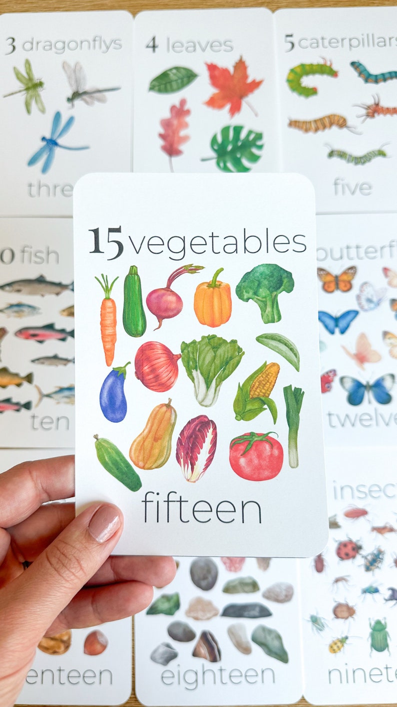 Nature Number Cards 1-20 Classroom Math Counting Cards Nursery Wall Art ...