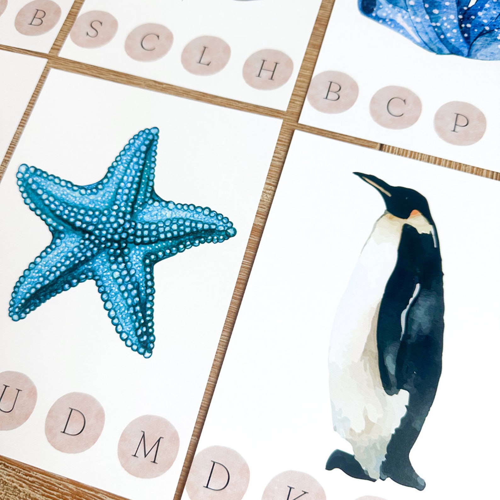 Ocean Letter Clip Cards English Alphabet Ocean Flashcards Elementary ...