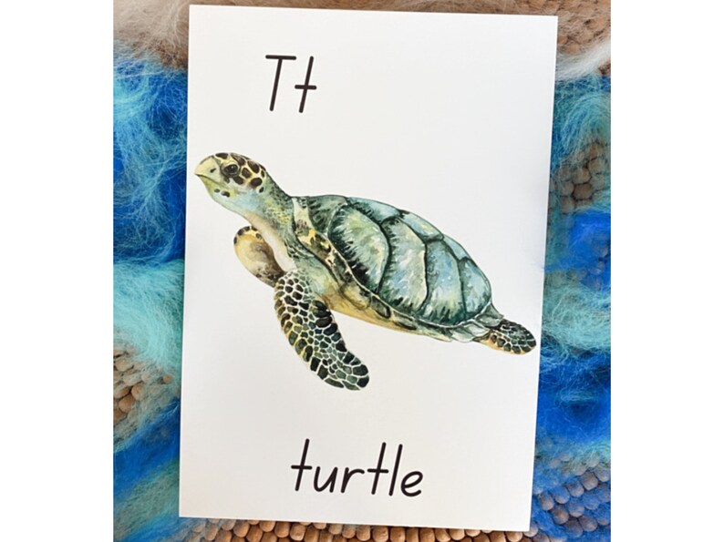 Ocean Alphabet Flash Cards / Ocean Theme Flashcards / ABC - Etsy