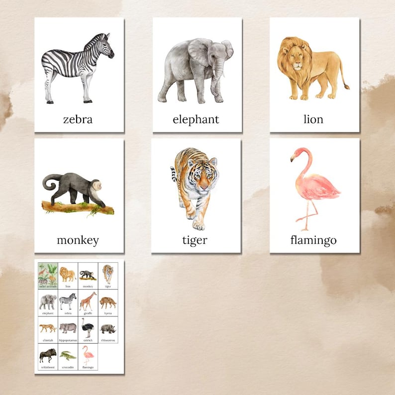 Safari Animal Recognition Cards Jungle Animal Prints for Toddler ...