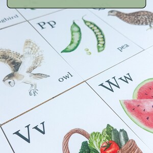 Nature Alphabet Flash Cards Farm Alphabet ABC Flashcards Watercolor ...