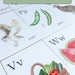 Nature Alphabet Flash Cards Farm Alphabet ABC Flashcards Watercolor ...