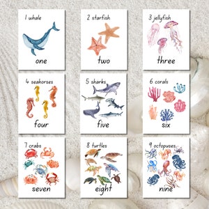 Ocean Bundle Preschool Nature Bundle Ocean Flash Cards Alphabet Flash ...