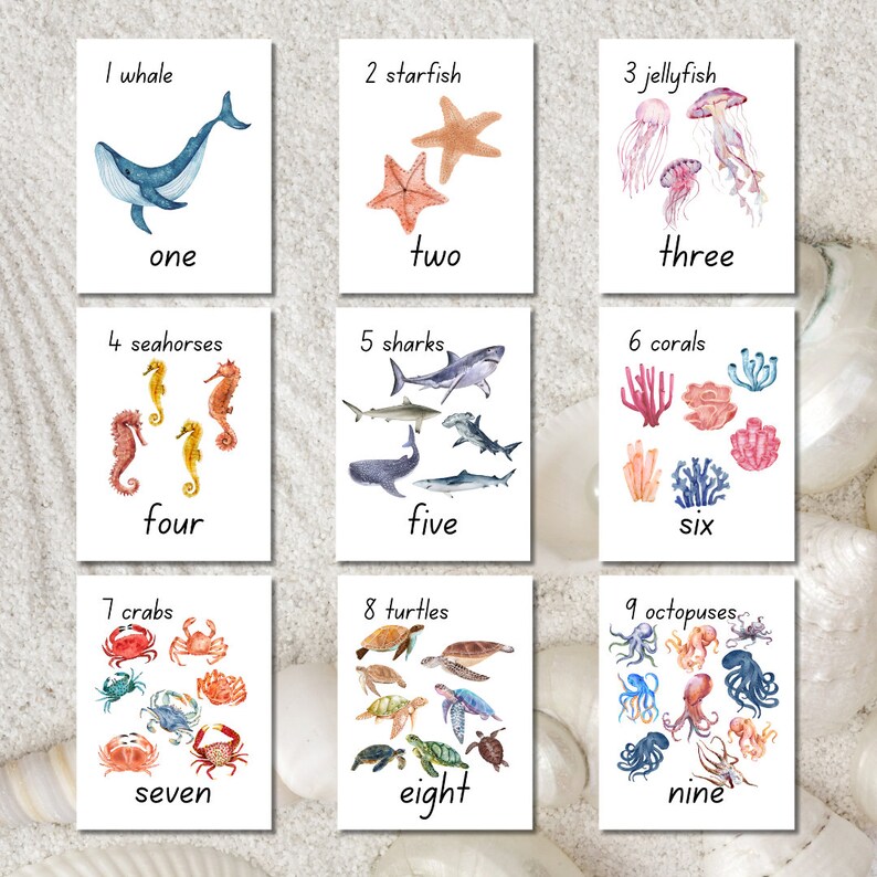 Ocean Bundle Preschool Nature Bundle Ocean Flash Cards Alphabet Flash ...