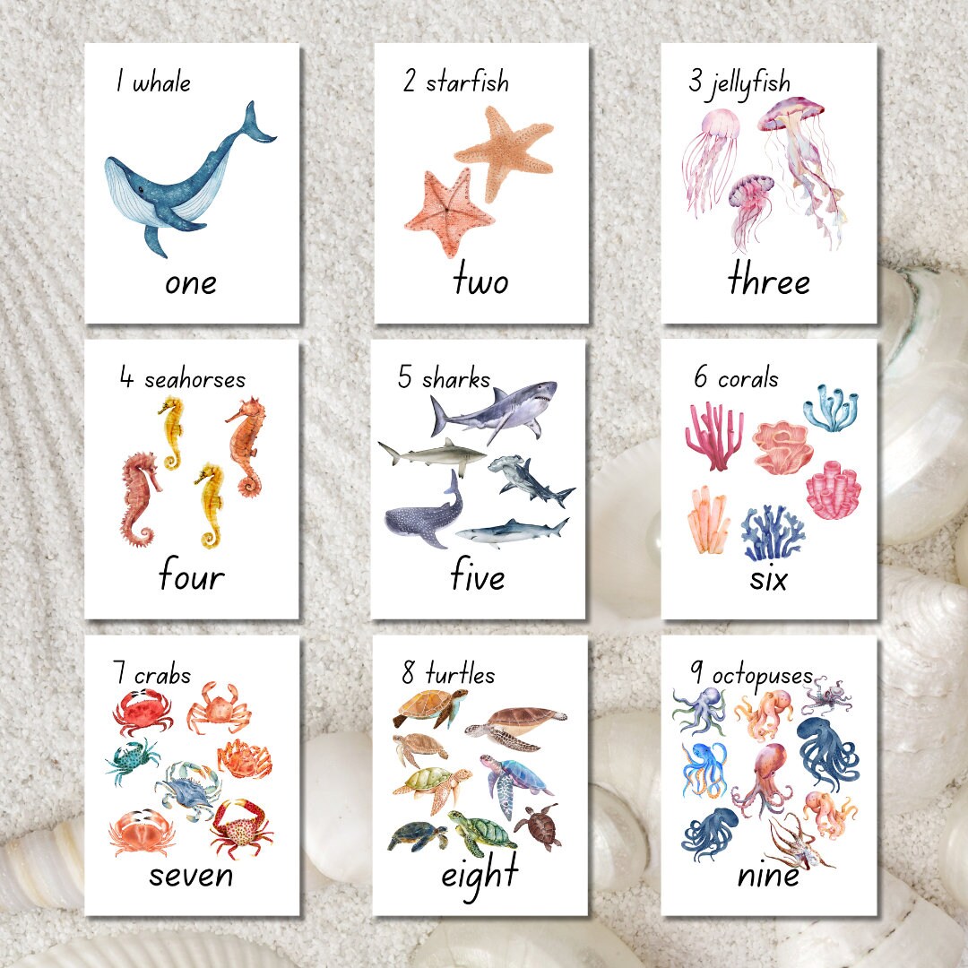 Ocean Bundle Preschool Nature Bundle Ocean Flash Cards Alphabet Flash ...