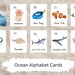 Ocean Alphabet Flash Cards / Ocean Theme Flashcards / ABC - Etsy