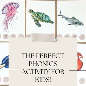 Ocean Letter Clip Cards Activity Ocean Flashcard Bundle Elementary ...