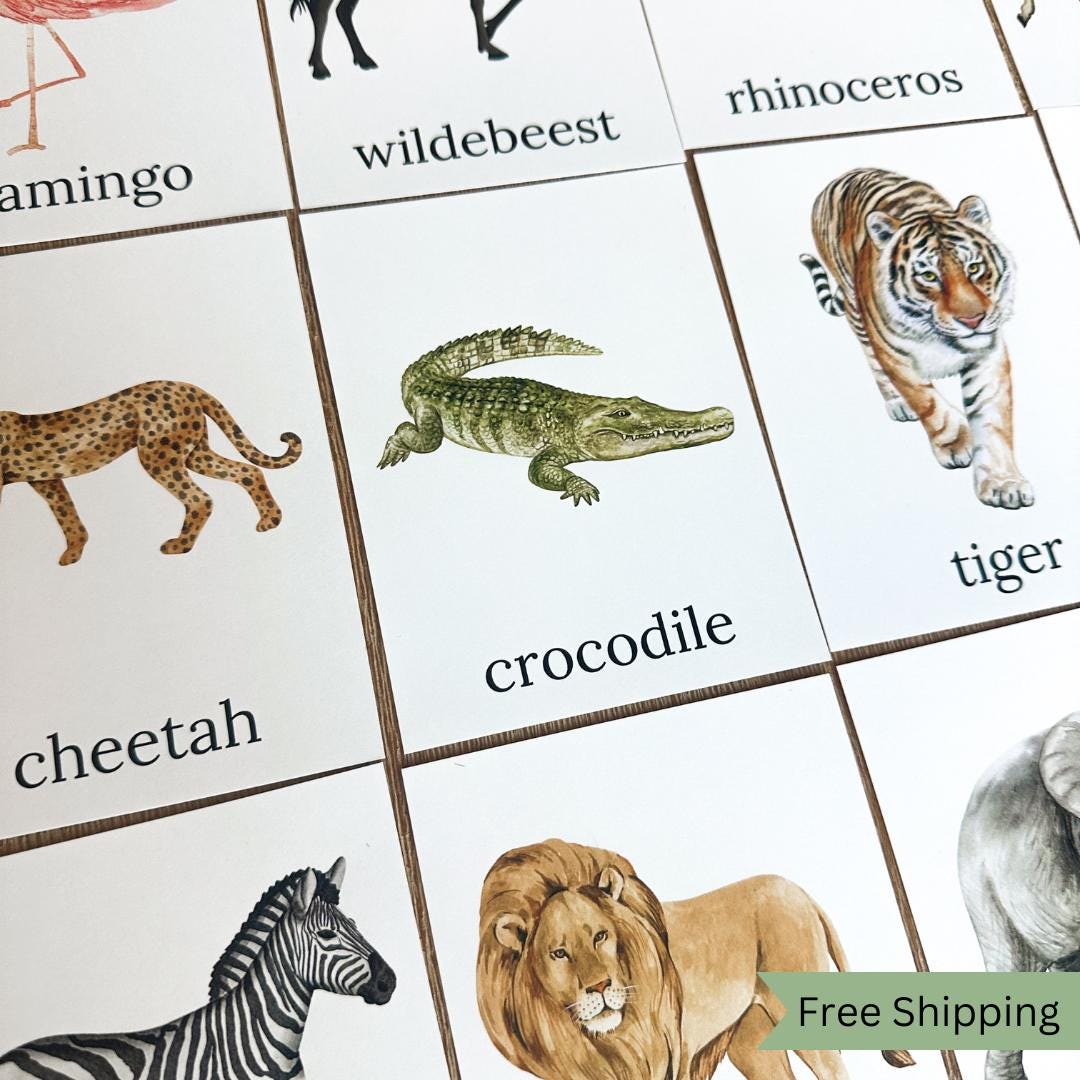 Safari Animal Recognition Cards Jungle Animal Prints for Toddler ...
