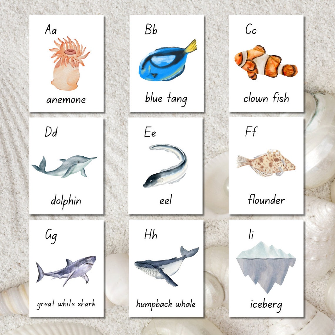 Ocean Bundle Preschool Nature Bundle Ocean Flash Cards Alphabet Flash ...