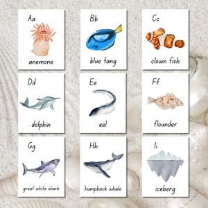 Ocean Bundle Preschool Nature Bundle Ocean Flash Cards Alphabet Flash ...