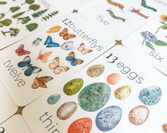 Nature Number Cards Counting Numbers Classroom Math Counting Cards ...