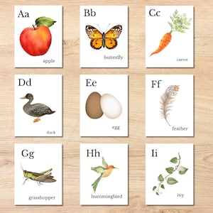 Nature Alphabet Flash Cards Farm Alphabet ABC Flashcards Watercolor ...