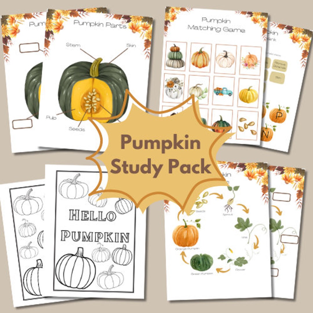 Pumpkin Study Homeschool Learning Materials Fall Activity for Children ...