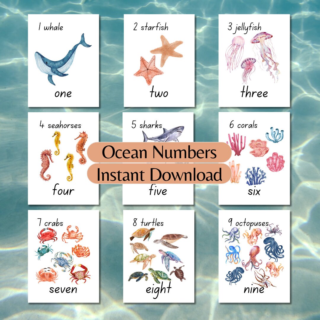 Ocean Number Cards 1-20 Classroom Math Counting Cards Nursery Wall Art ...