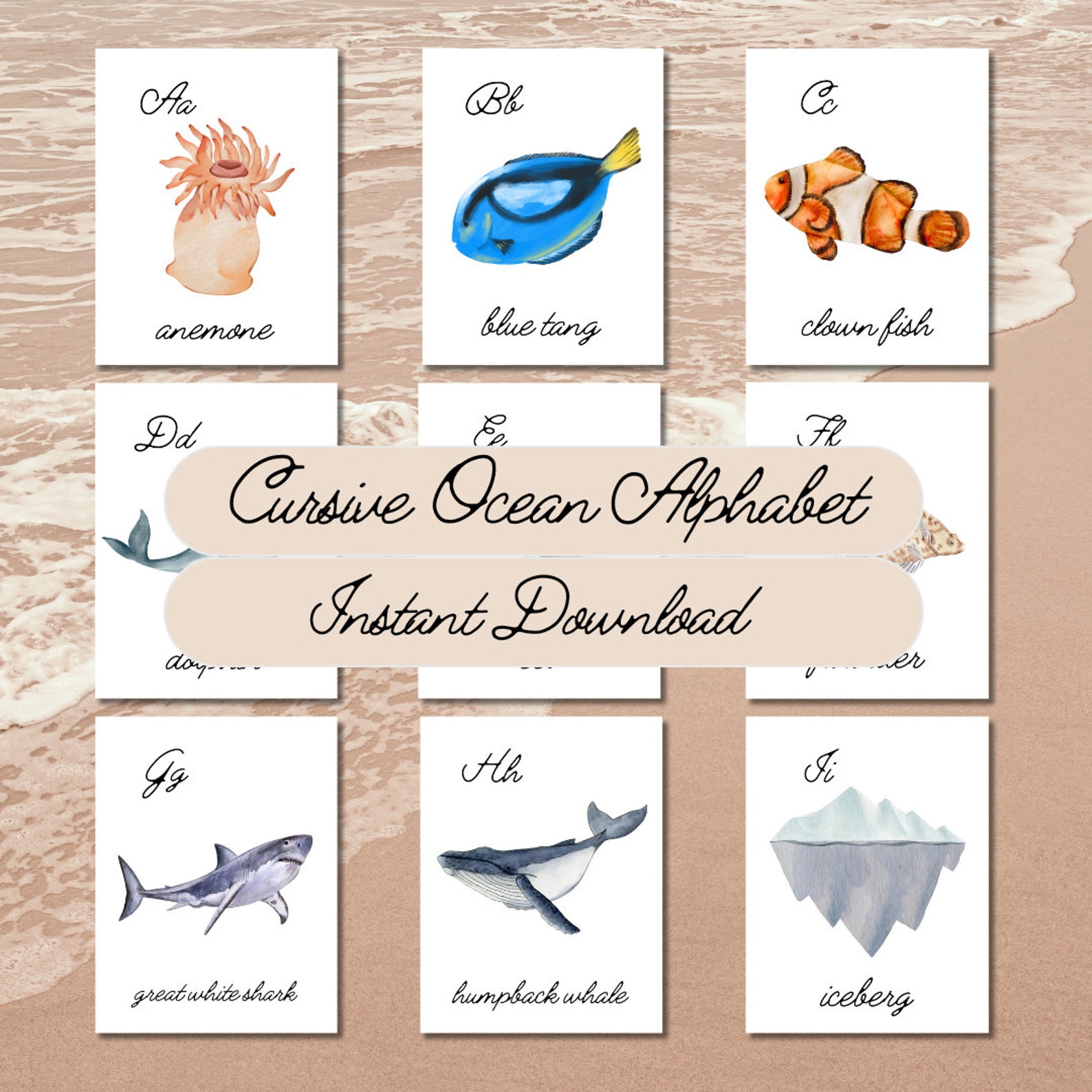 Cursive Ocean Alphabet Flash Cards Ocean Theme Educational Cursive ...