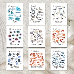 Ocean Bundle Preschool Nature Bundle Ocean Flash Cards Alphabet Flash ...