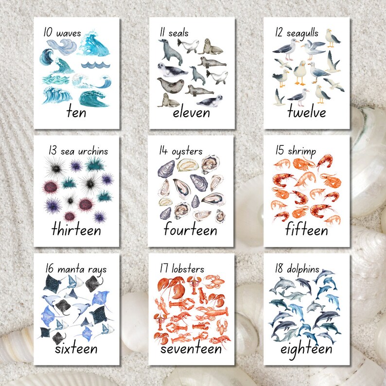 Ocean Bundle Preschool Nature Bundle Ocean Flash Cards Alphabet Flash ...