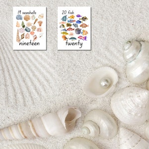 Ocean Bundle Preschool Nature Bundle Ocean Flash Cards Alphabet Flash ...