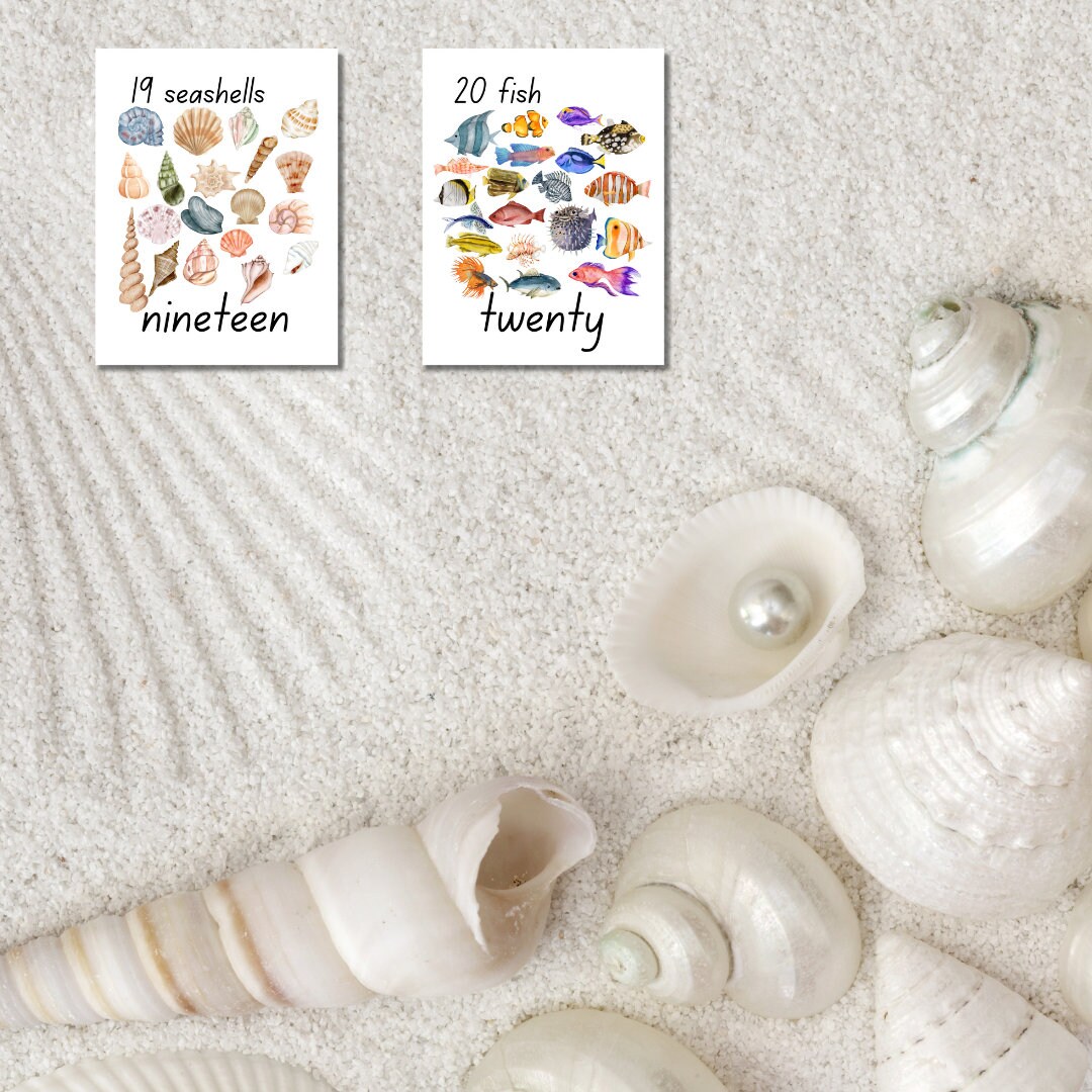 Ocean Bundle Preschool Nature Bundle Ocean Flash Cards Alphabet Flash ...