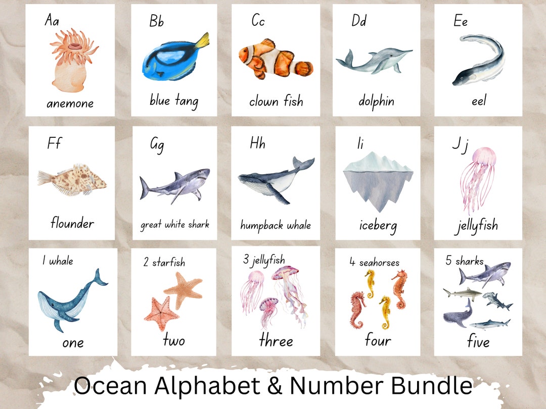 Ocean Bundle / Preschool Nature Bundle / Ocean Flash Cards / - Etsy