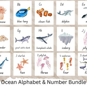 Ocean Bundle / Preschool Nature Bundle / Ocean Flash Cards / - Etsy