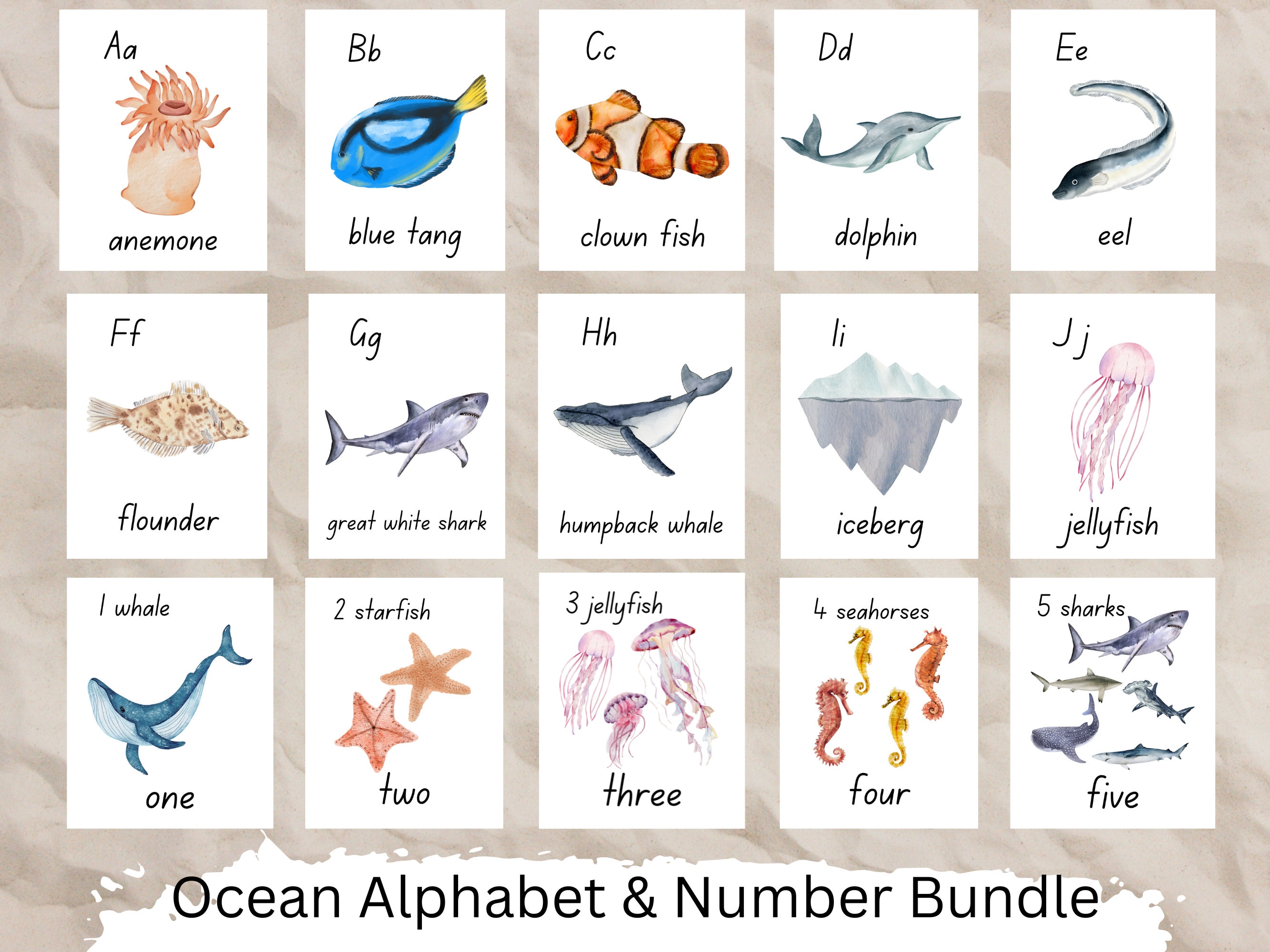 Ocean Bundle / Preschool Nature Bundle / Ocean Flash Cards / - Etsy