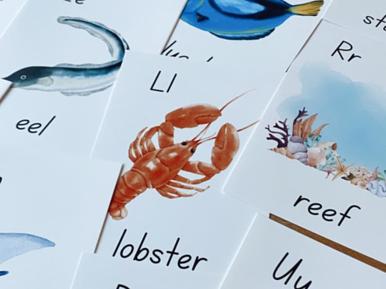 Ocean Alphabet Flash Cards Ocean Theme Flashcards ABC Nature Cards ...