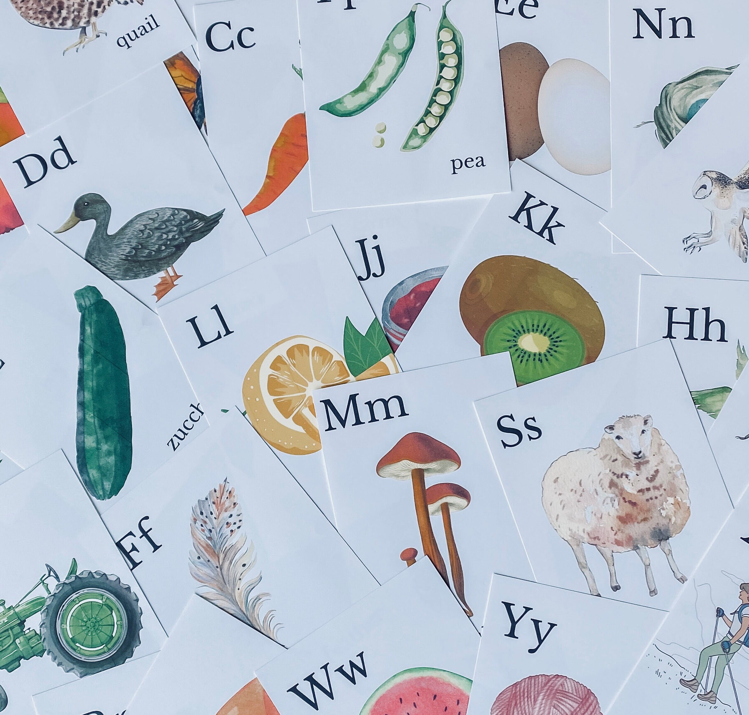 Nature Alphabet Flash Cards / Farm Alphabet Cards / ABC Cards ...