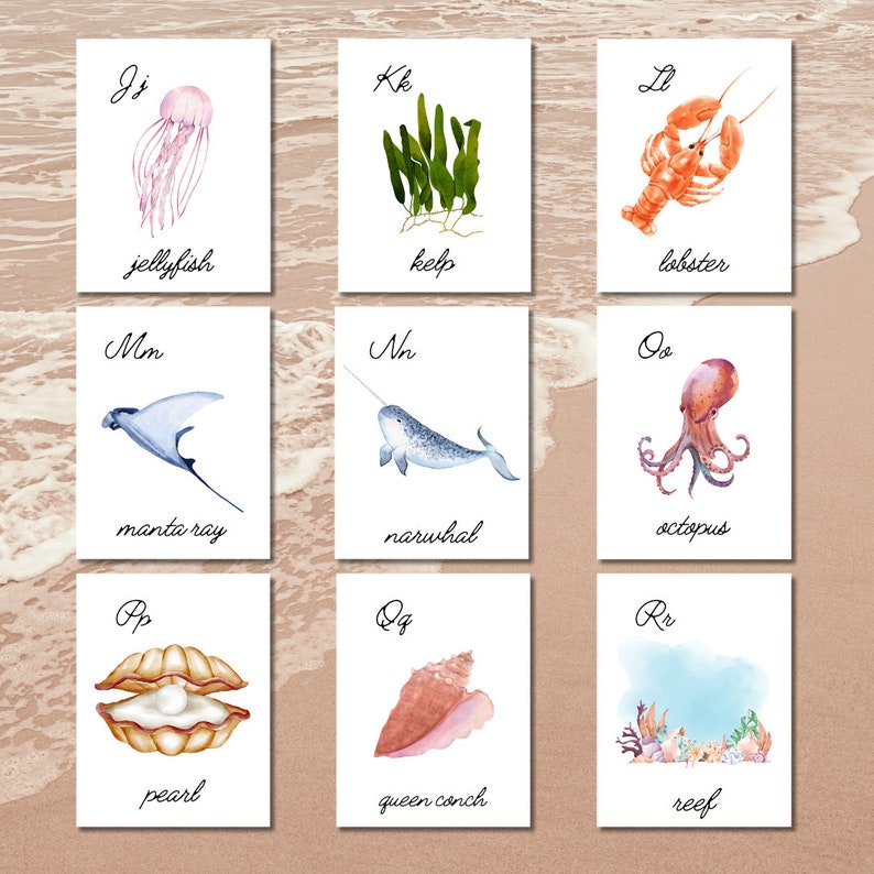 Cursive Ocean Alphabet Flash Cards Ocean Theme Educational Cursive ...