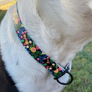 UV Printed Biothane ADD ON Read Description Before Purchasing - Etsy