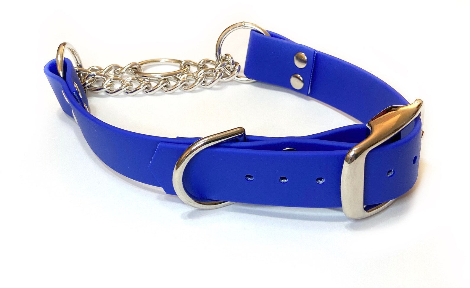 Custom Biothane Martingale Chain With Traditional Buckle - Etsy