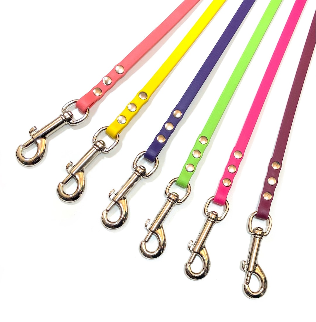 3/8” Custom Biothane Dog Leash - Etsy