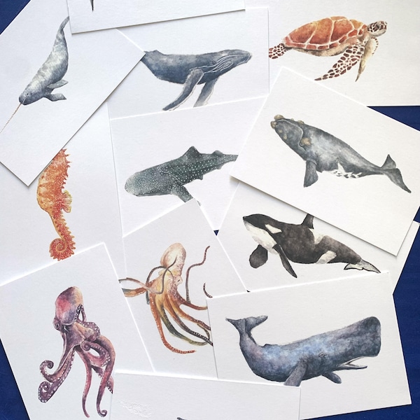 Sea Creature Cards - Etsy Canada