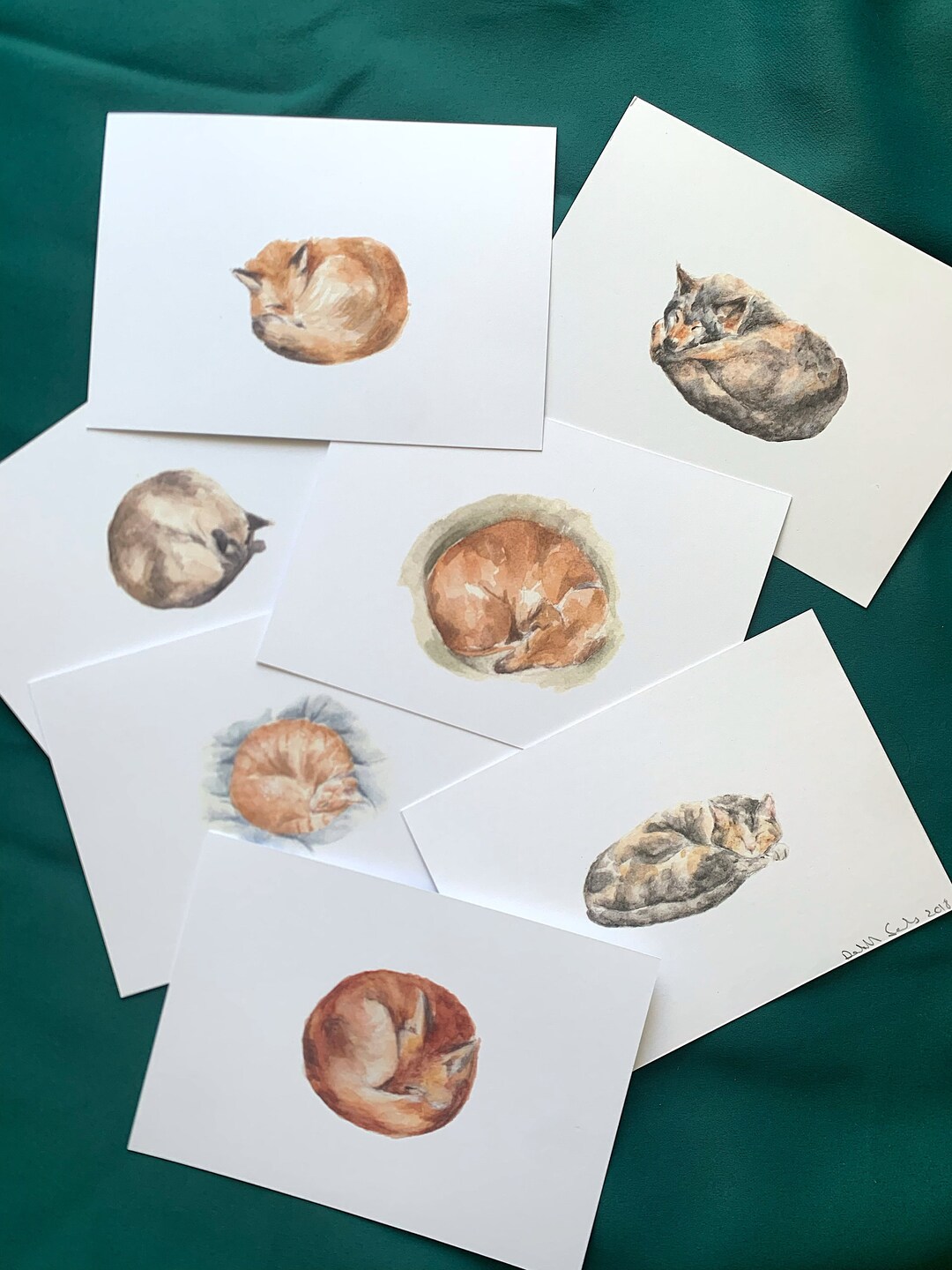 Animal Postcard Set of 7, Animal Postcards, Greeting Card, Small Gift ...