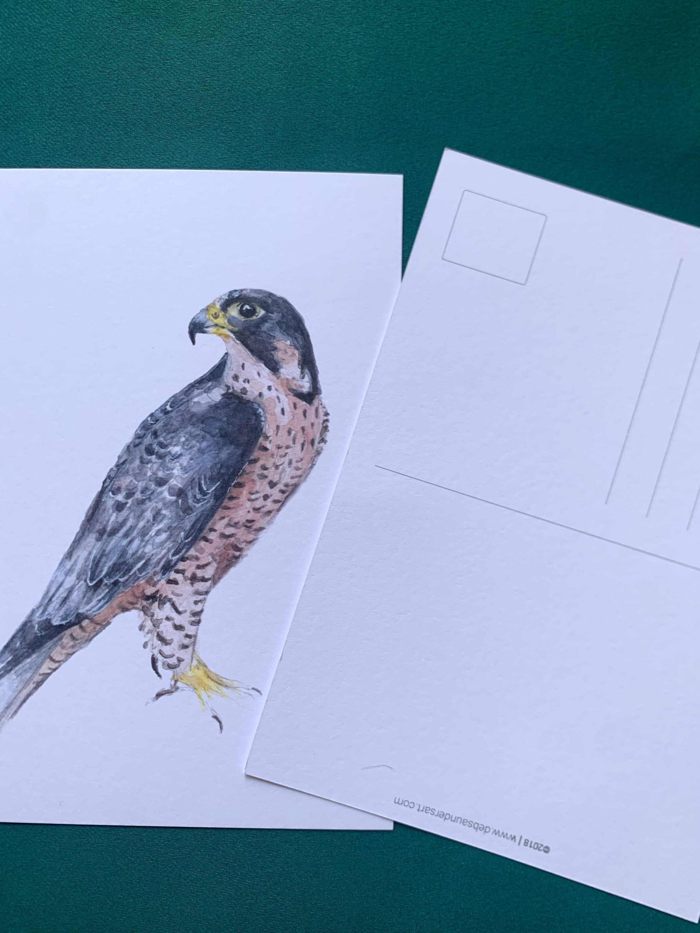 Bird Postcard Set, Cute Bird Postcards, Nature Postcard, Postcard Gift ...