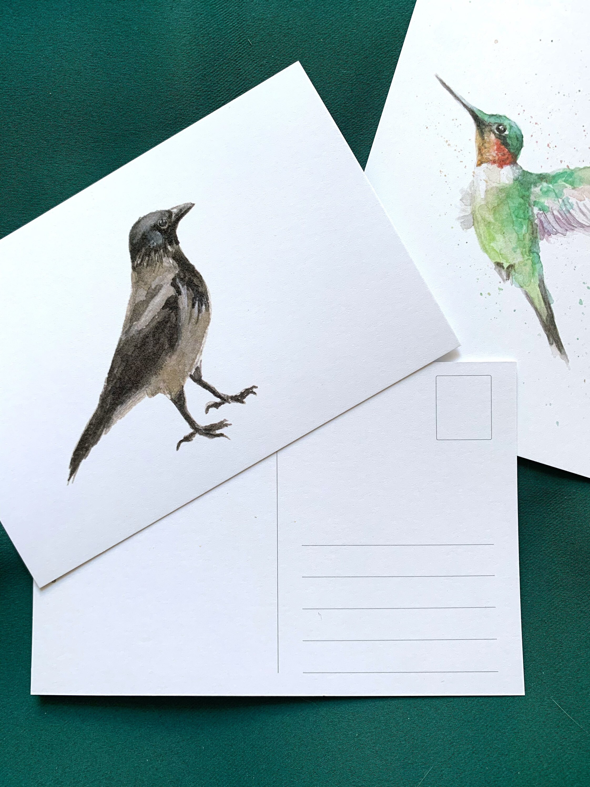 Bird Postcard Set, Cute Bird Postcards, Nature Postcard, Postcard Gift ...