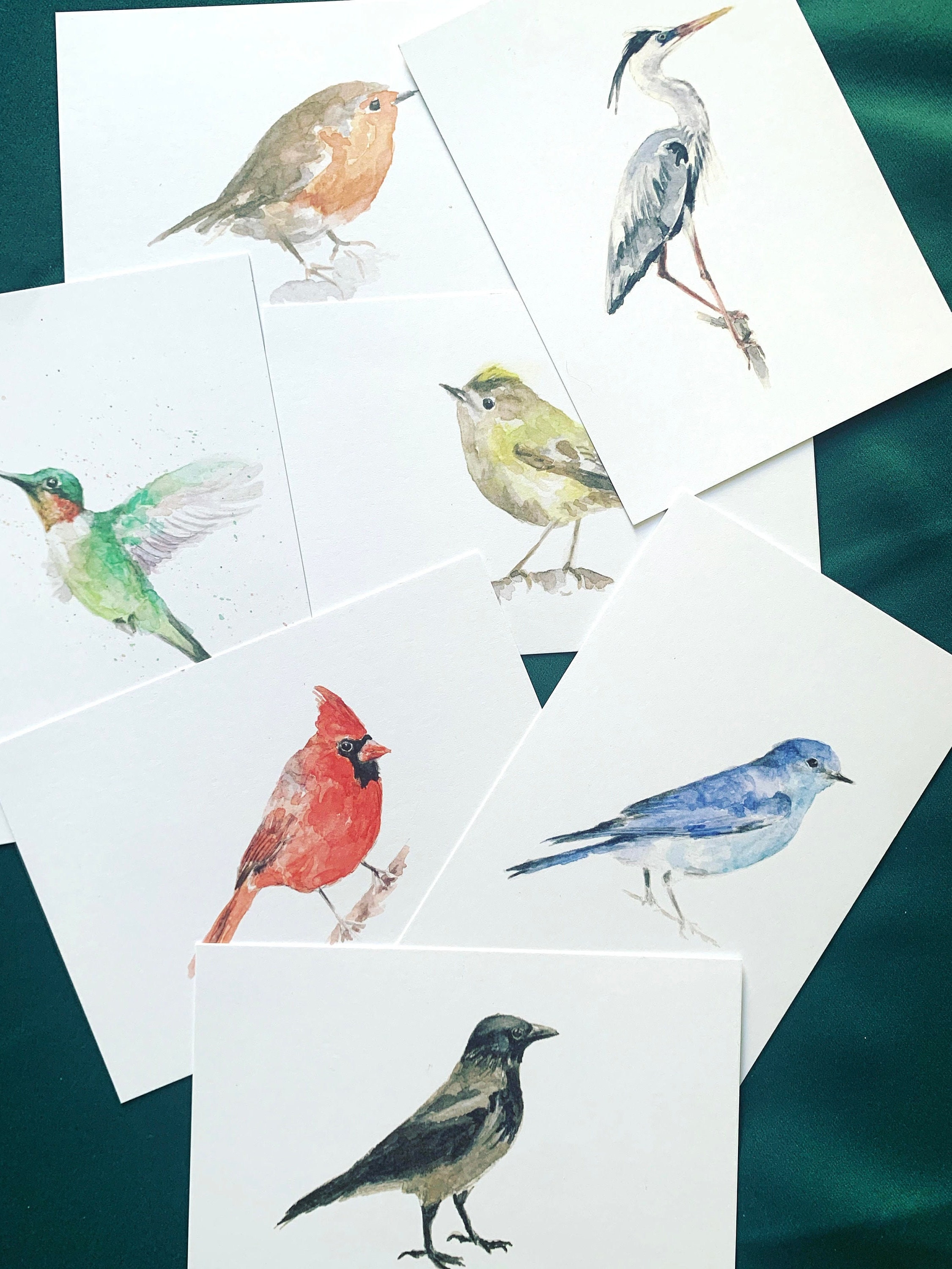 Bird Postcard Set, Cute Bird Postcards, Nature Postcard, Postcard Gift ...