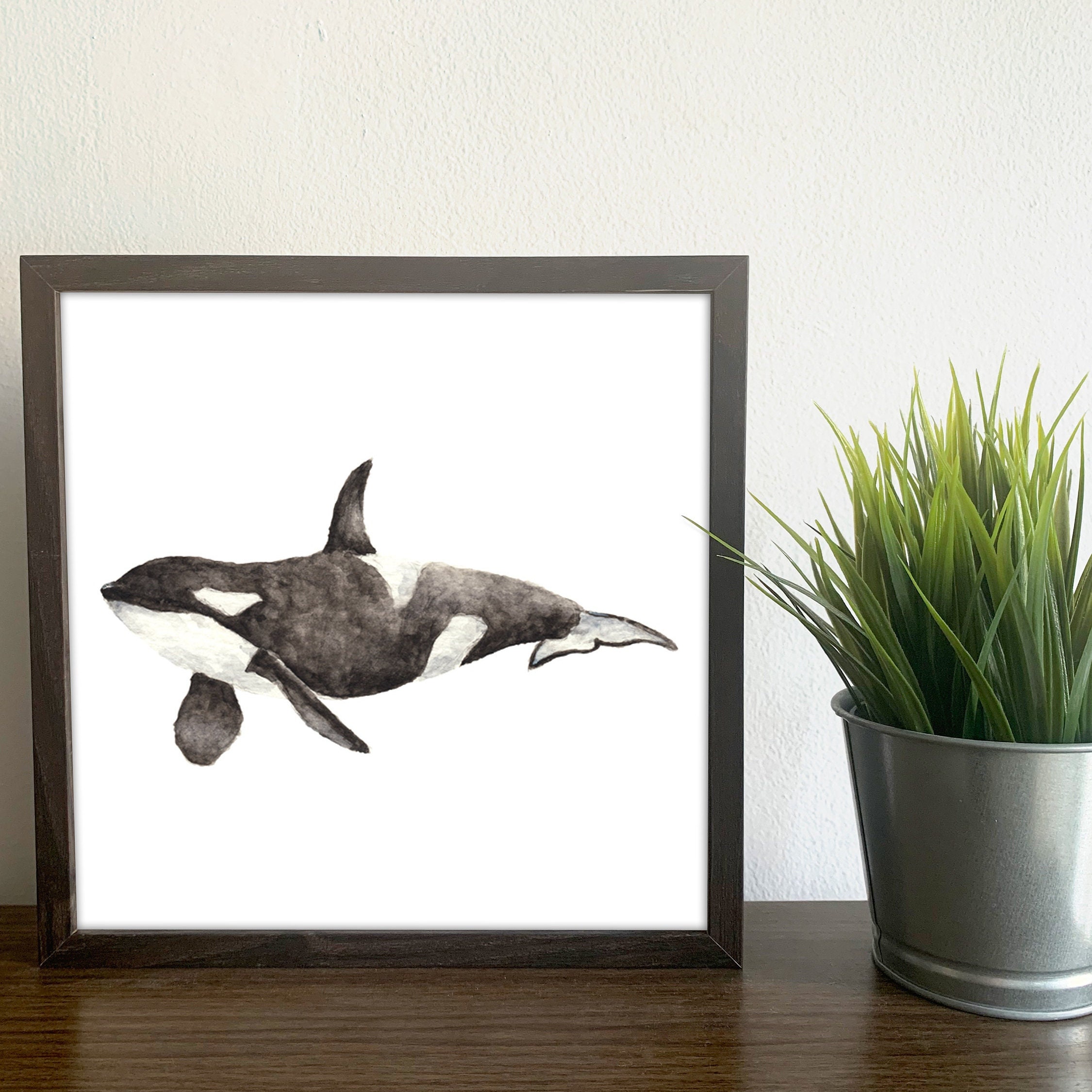 Orca Print, Sea Creature Art Wall Decor - Etsy