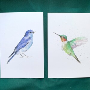Bird Postcard Set, Cute Bird Postcards, Nature Postcard, Postcard Gift ...