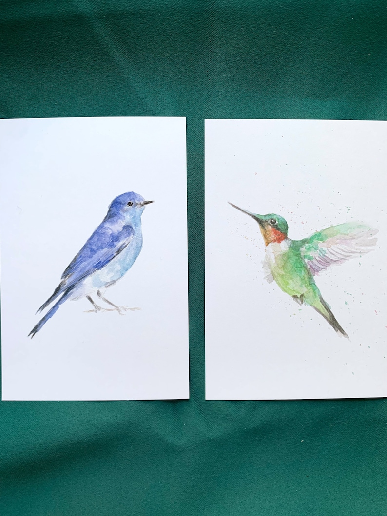 Bird Postcard Set, Cute Bird Postcards, Nature Postcard, Postcard Gift ...
