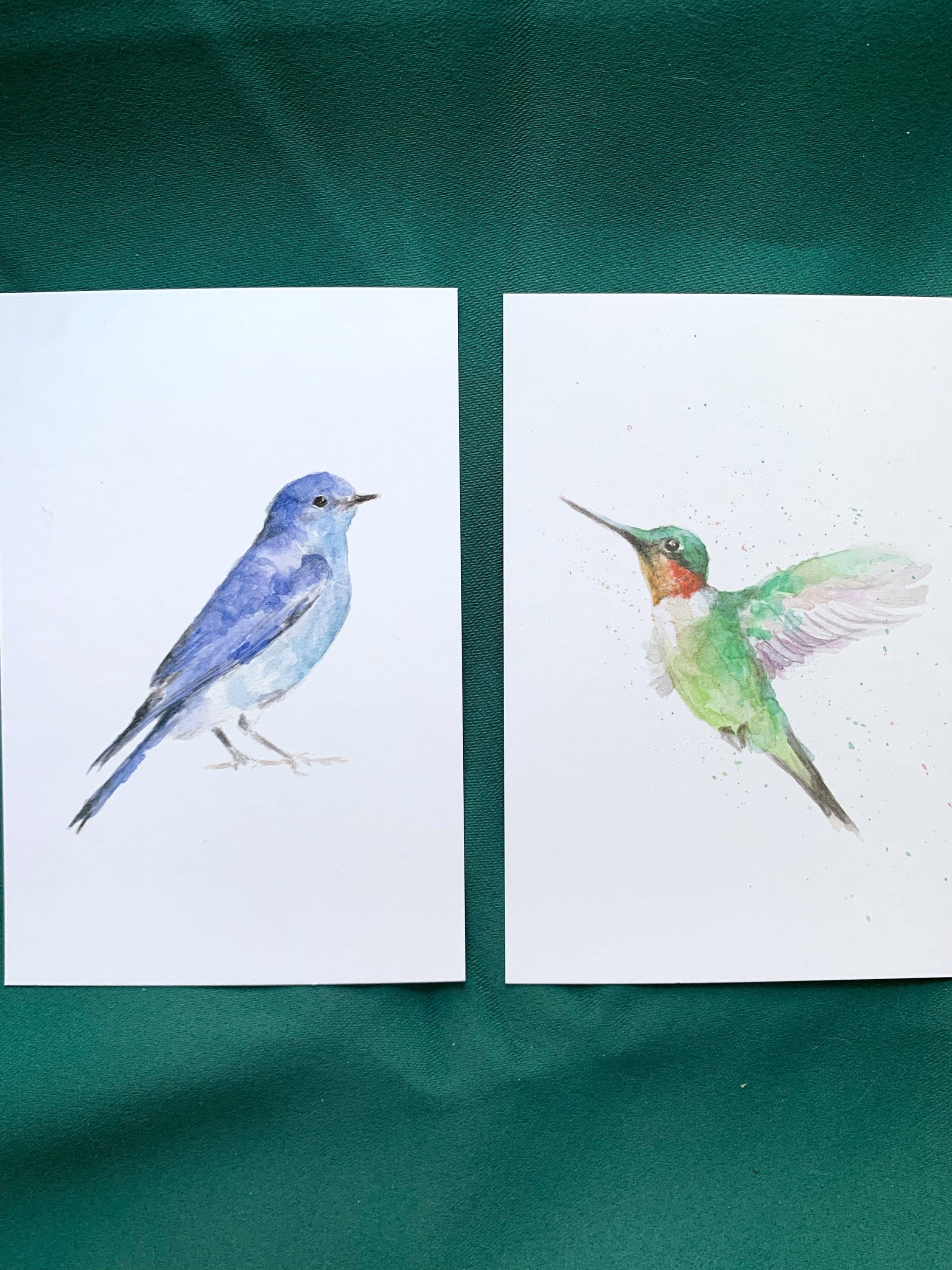Bird Postcard Set, Cute Bird Postcards, Nature Postcard, Postcard Gift ...