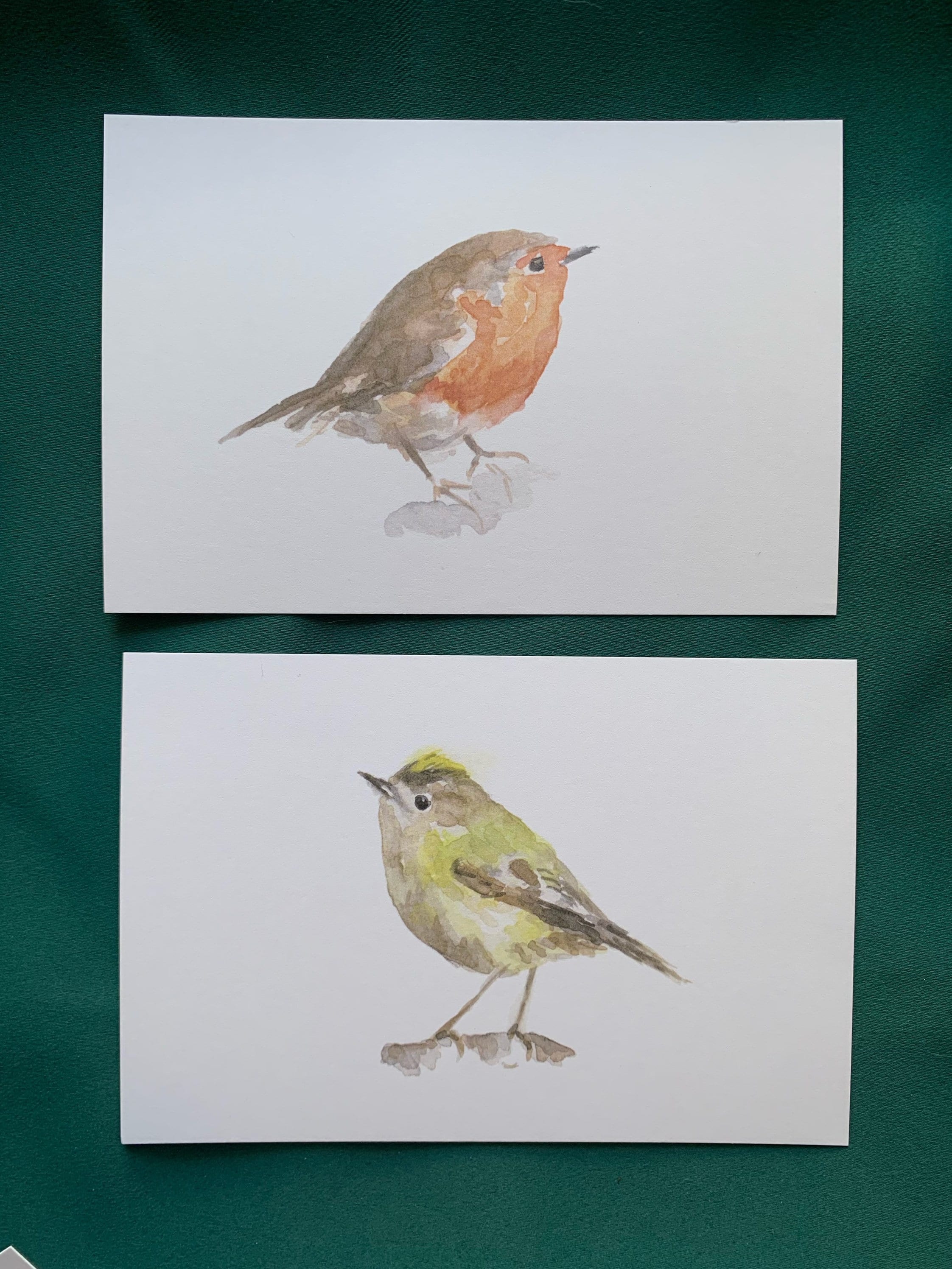 Bird Postcard Set, Cute Bird Postcards, Nature Postcard, Postcard Gift ...
