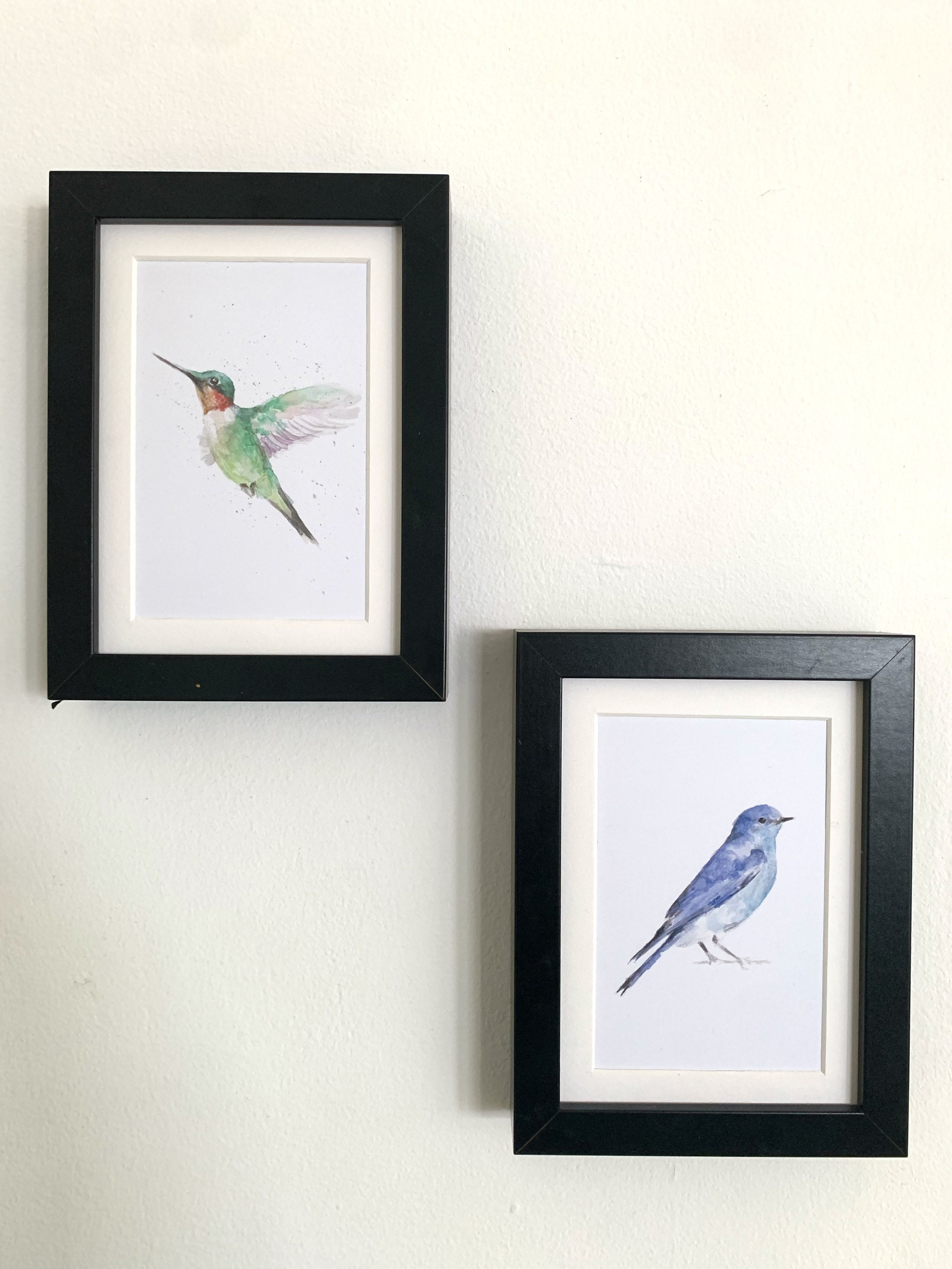 Bird Postcard Set, Cute Bird Postcards, Nature Postcard, Postcard Gift ...