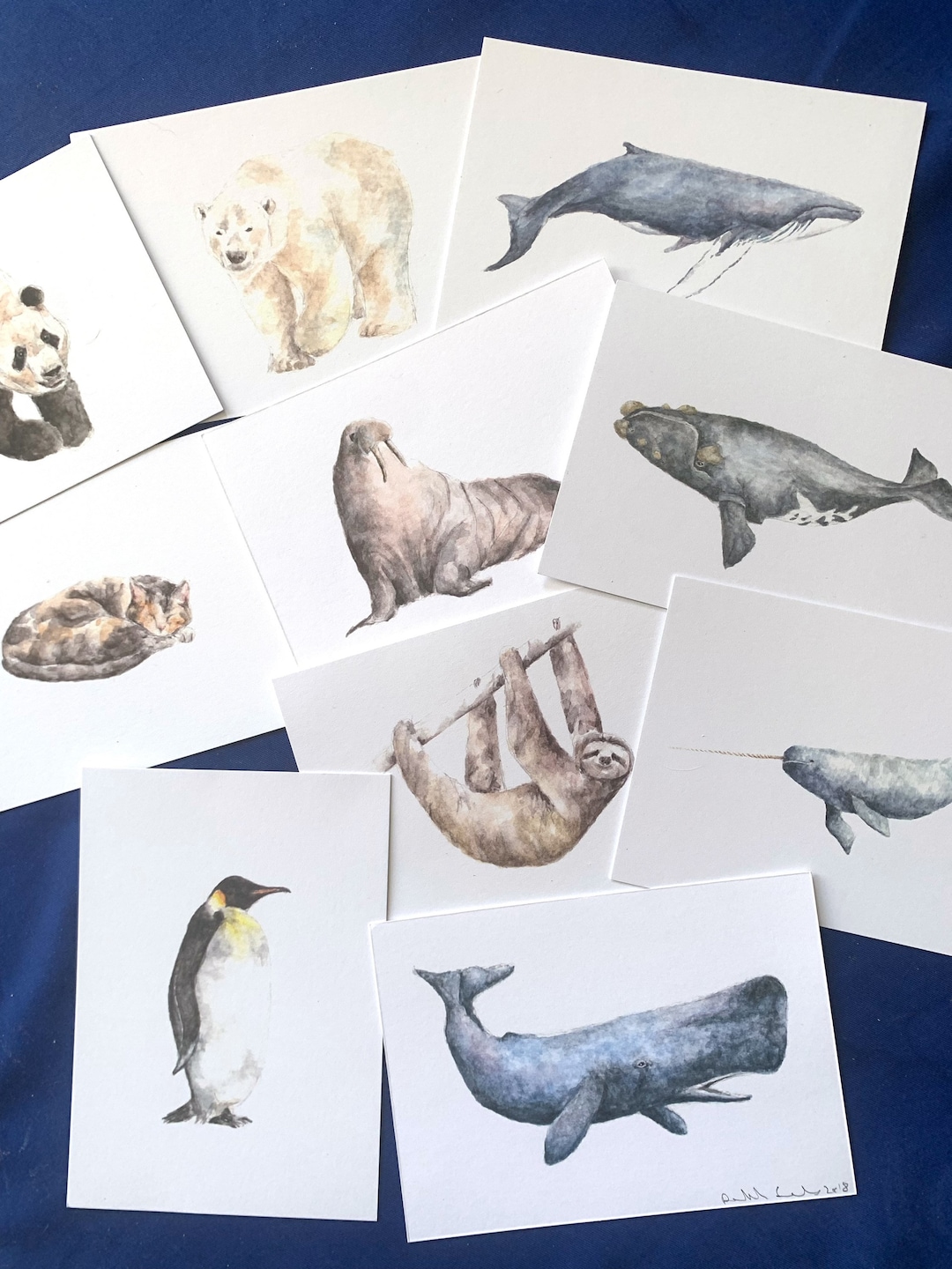 Animal Postcard Set, Animal Art Postcards, Wildlife Postcards, Cute ...